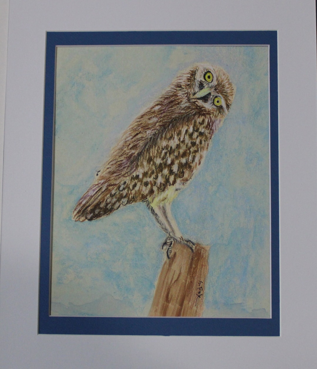 Burrowing Owl Art, Colored Pencil Bird Drawing, Brown, White Owl ...