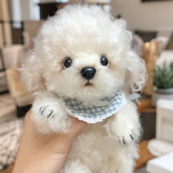 Handmade Realistic Plush - Etsy