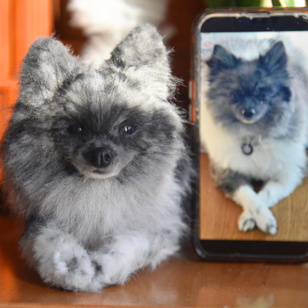 Custom Stuffed Pet Replica, Huggable Dog Plush, Handmade Pet Memorial ...