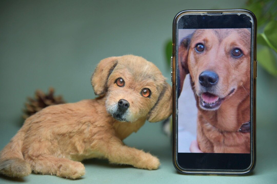 Custom Pet Replica Dog Plush,photo of Pet Into Custom Stuffed Animal ...