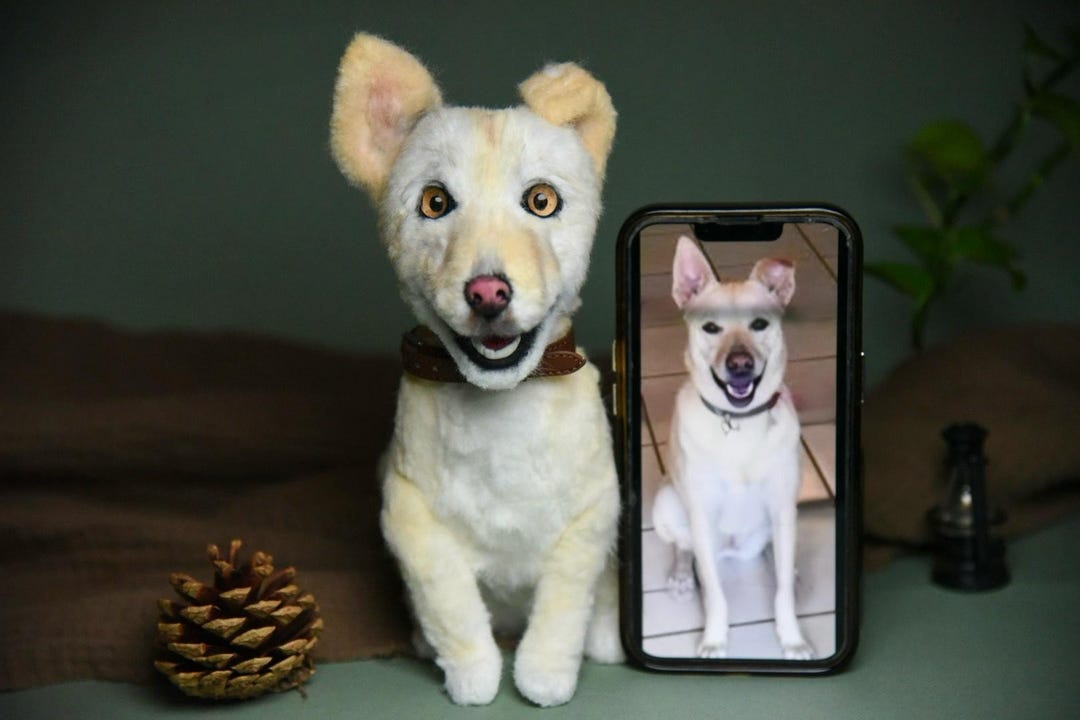 Custom Pet Replica Dog Plush,photo of Pet Into Custom Stuffed Animal ...