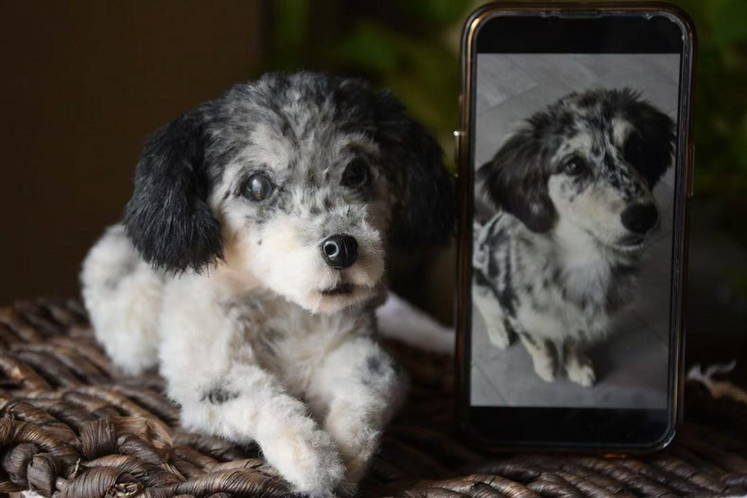 Custom Pet Plush From Photo, Personalized Memorial Stuffed Animal ...