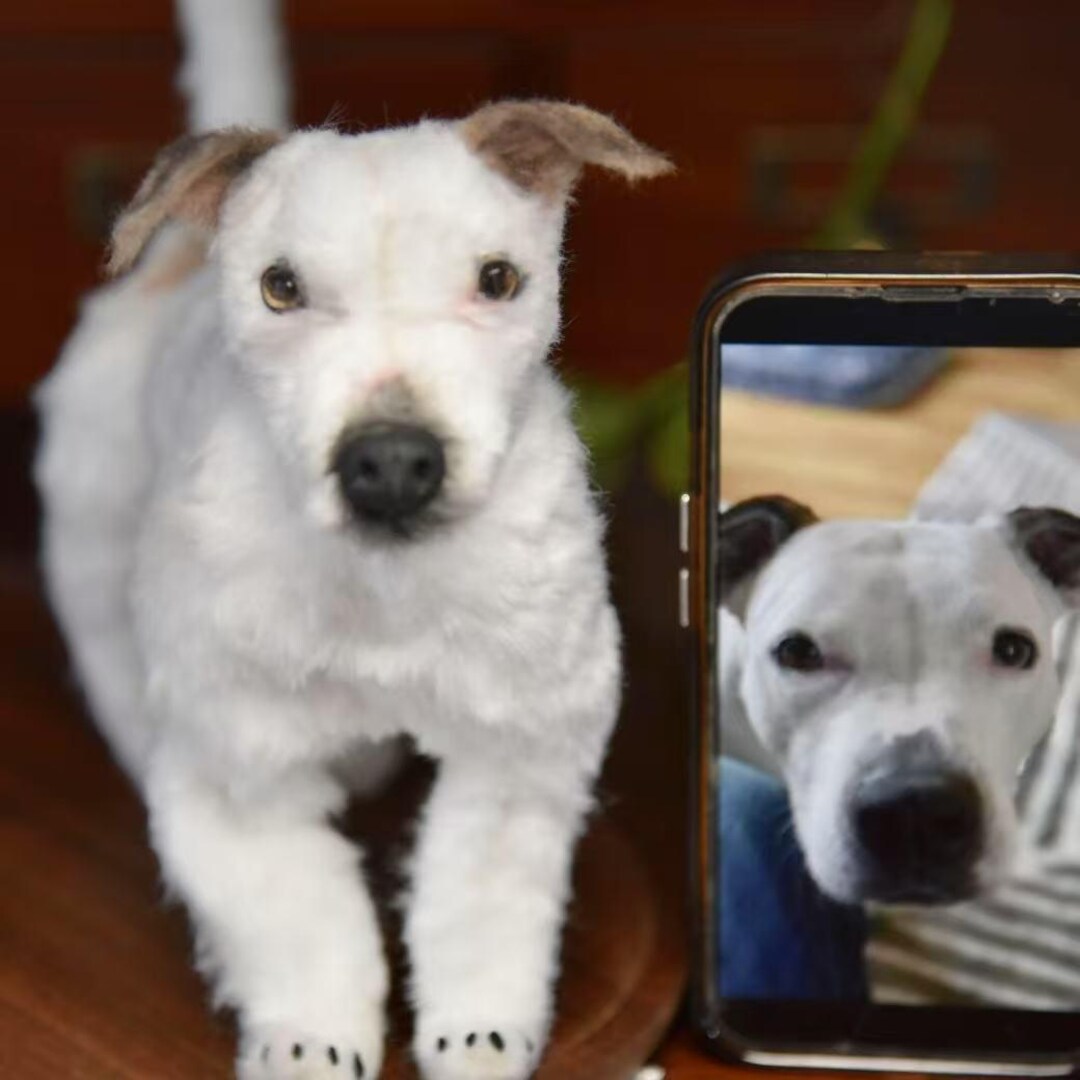Custom Pet Replica Dog Plush,photo of Pet Into Custom Stuffed Animal ...