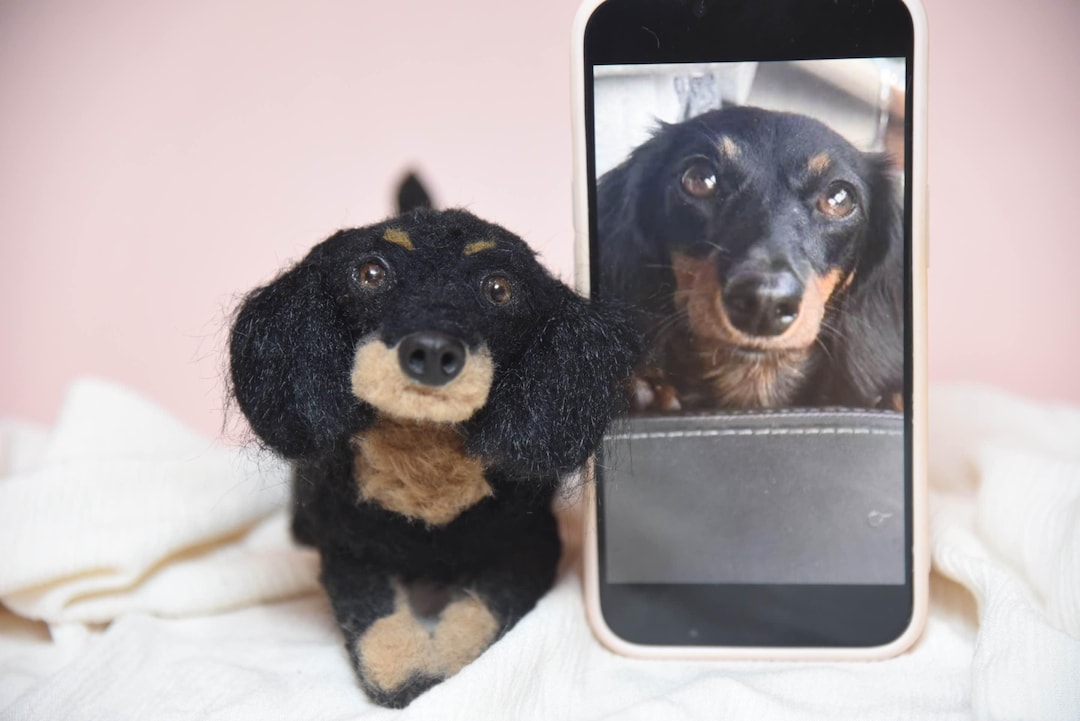 Custom Dachshund Plush Replica | Personalized Wiener Dog From Photo ...