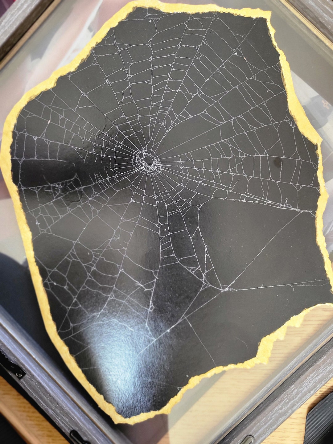 Large Floating Orb Weaver Web - Etsy