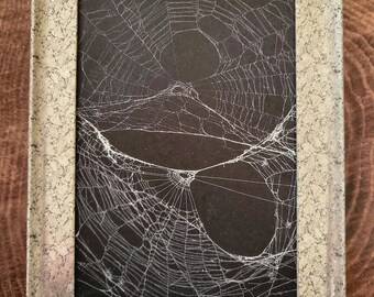 Real Framed Preserved Orb Weaver Spider Web USA - Etsy