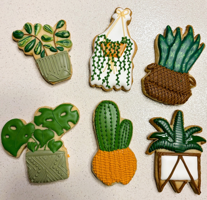 Potted Houseplant Cookies - Etsy
