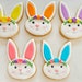 Easter Eggs and Bunny Royal Icing Cookies (one Dozen) - Etsy