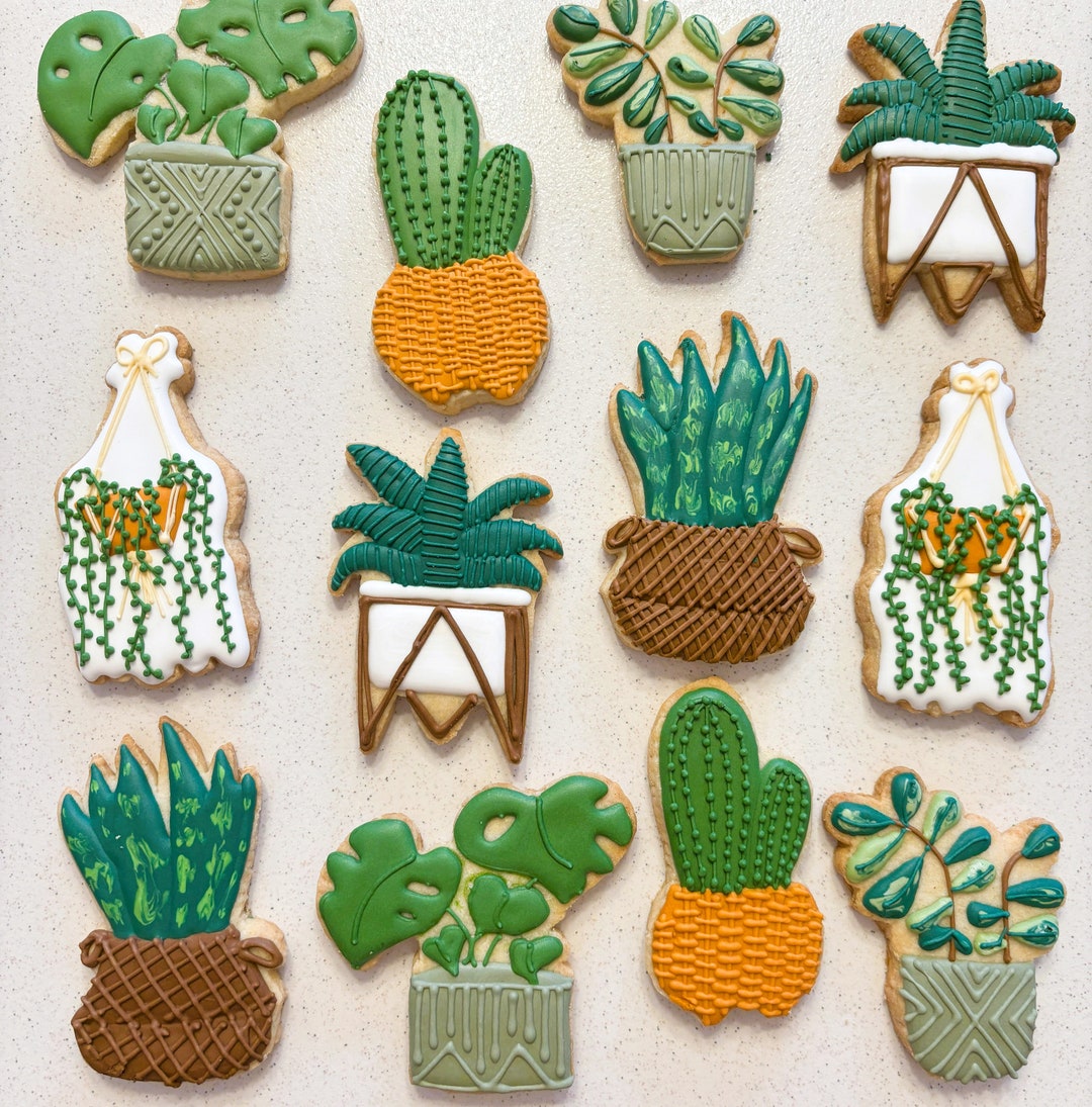 Potted Houseplant Cookies - Etsy