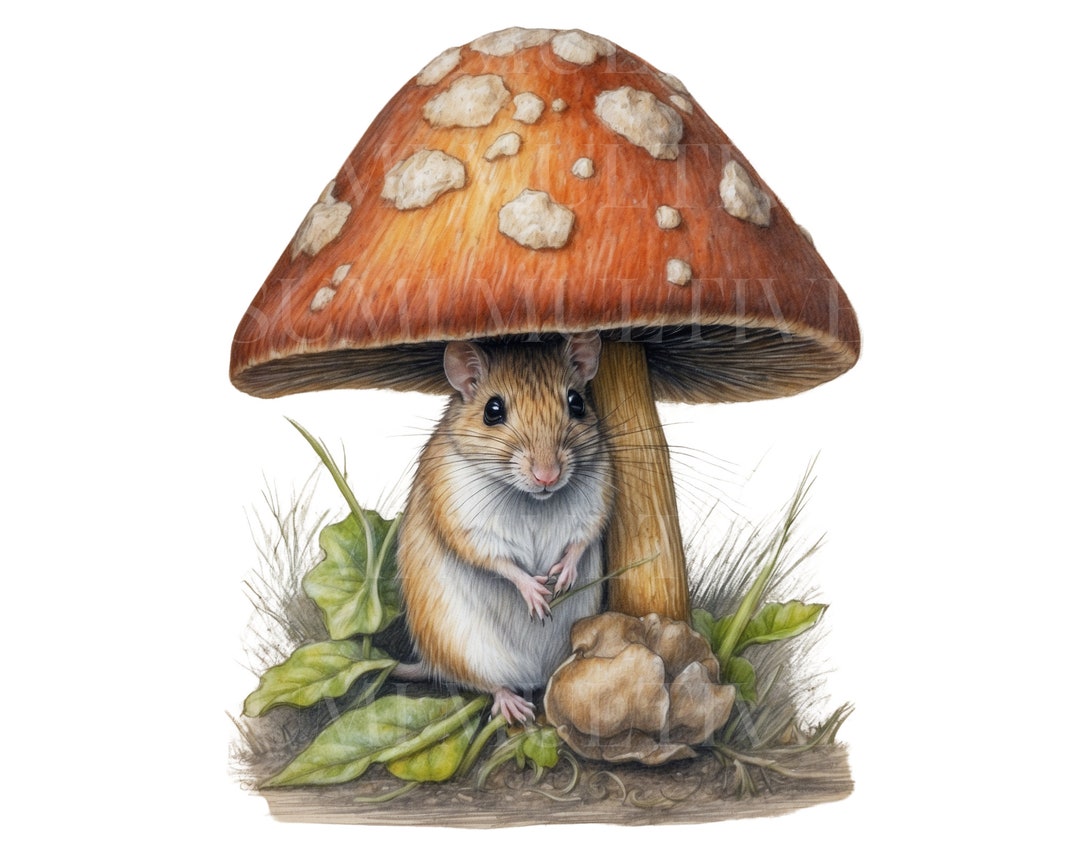 Watercolor Mouse Clipart, Mushrooms and Mice Clip Art, Cute Mouse Png ...