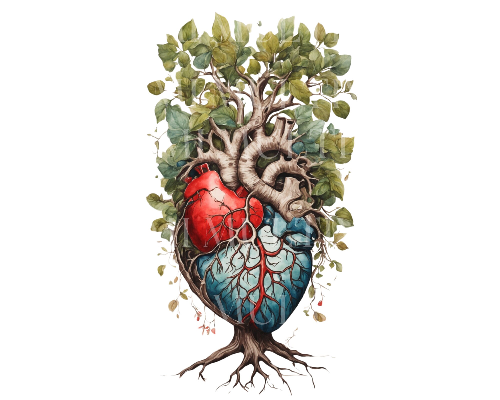 Human Heart Roots Clipart, Botanical Heart Png, Nature Lovers Svg ...