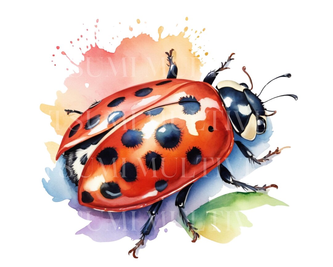 Watercolor Ladybug Svg Png, Cute Ladybug Clipart, Insect Clipart ...