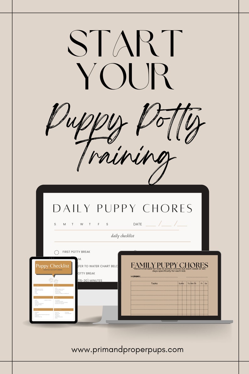 Daily Potty Chart for Puppy & Checklist - Etsy
