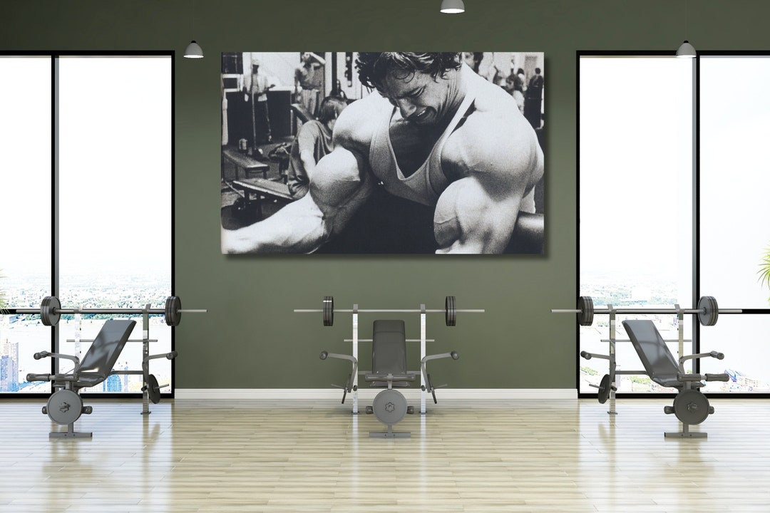 Arnold Schwarzenegger| Gym Exercise Fitness Weight Lifting Body Builder ...