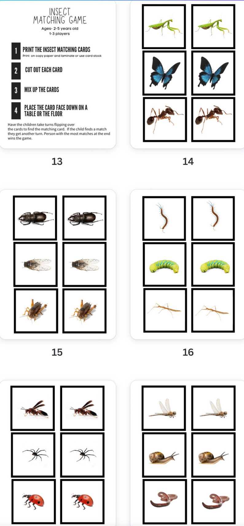 Bug Unit for Preschool Digital - Etsy