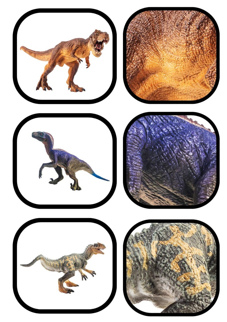 Dinosaur Study Digital Download - Etsy