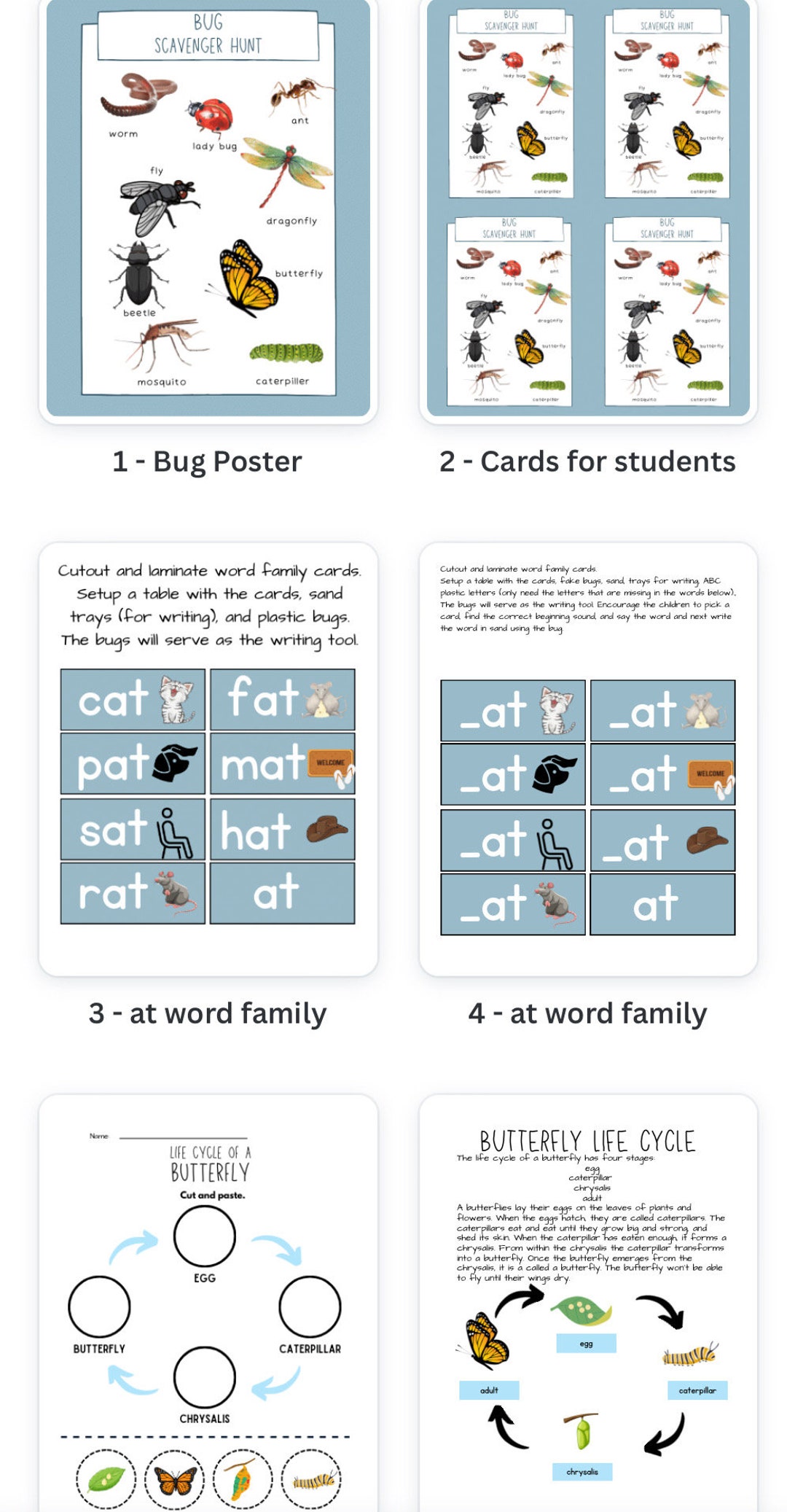 Bug Unit for Preschool Digital - Etsy