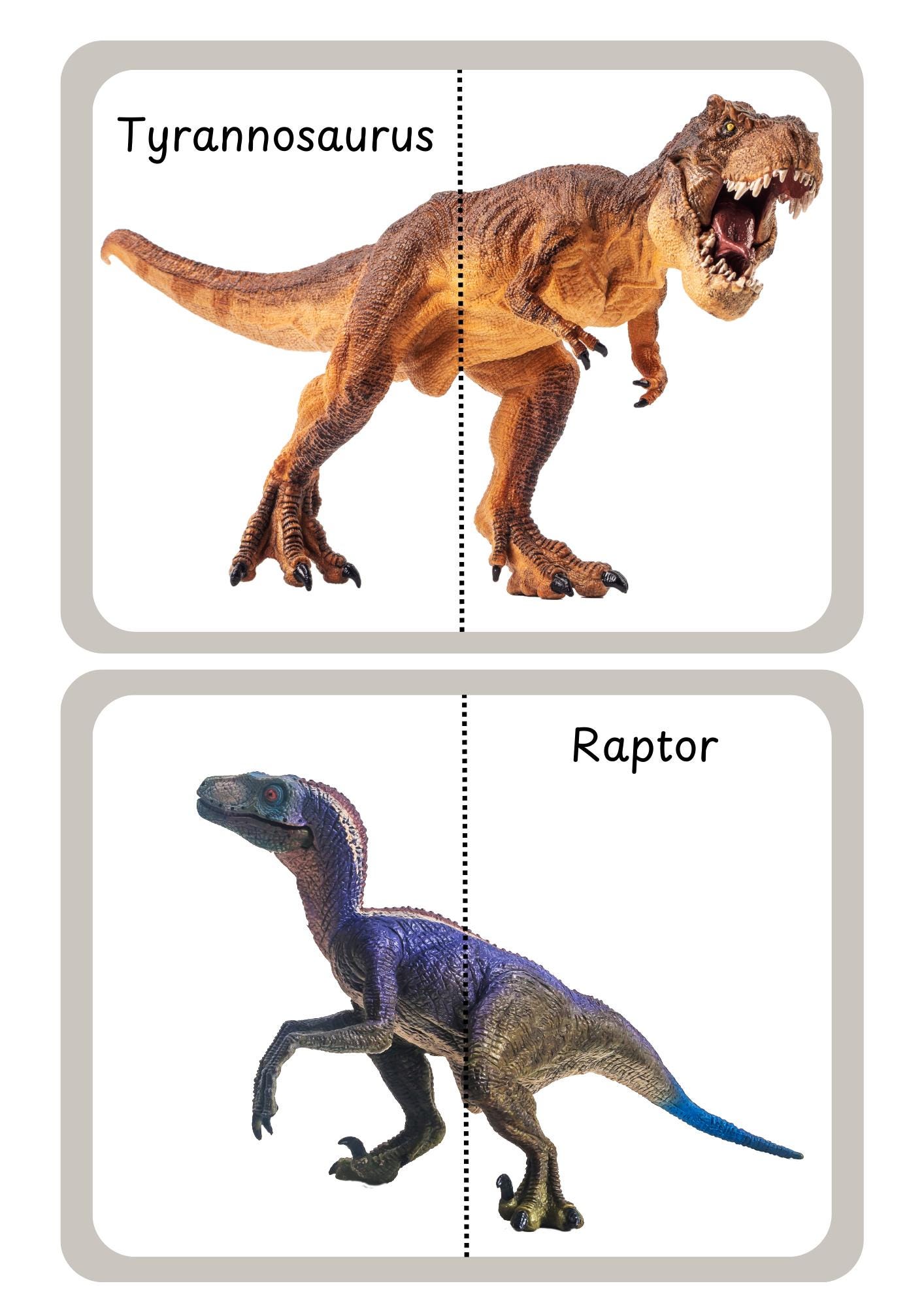 Dinosaur Study Digital Download - Etsy