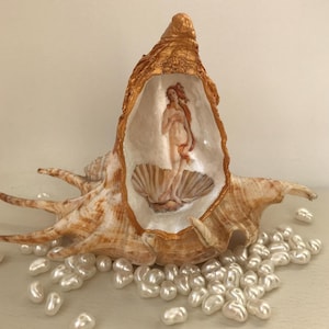 aphrodite symbol seashell