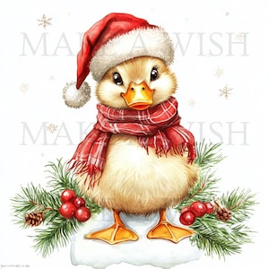 Christmas Duck Clipart Set, Whimsical Holiday Duckling Illustrations ...