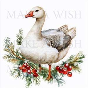Christmas Goose Clipart Set, Whimsical Holiday Geese Illustrations ...