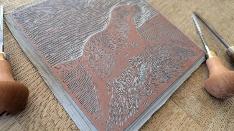 Lino Cut Print Wild Scottish Otter Tick Art Sea Coast Animal - Etsy