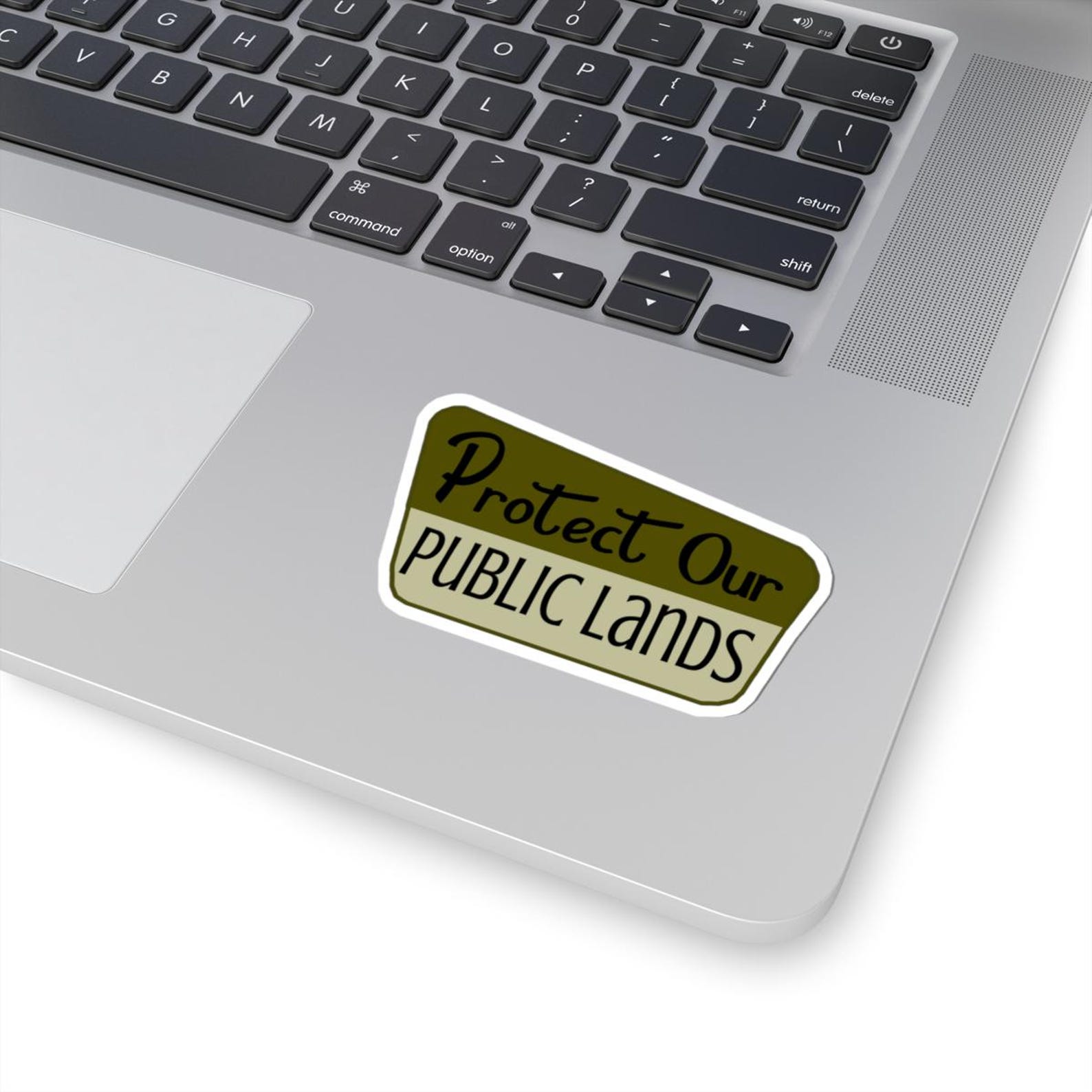Protect Our Public Lands Sticker: Retro National Park Sign, Activism - Etsy