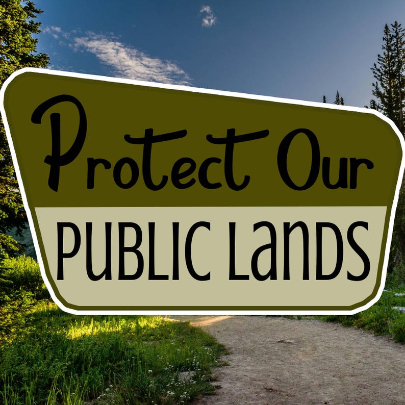 Protect Our Public Lands Sticker: Retro National Park Sign, Activism - Etsy