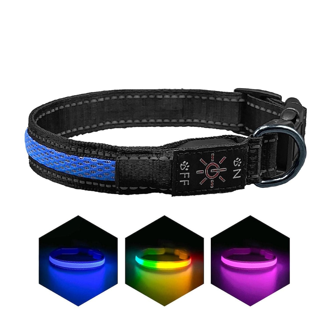 LED Pet Collar - USB-C Rechargeable, Weatherproof, Adjustable Light up ...