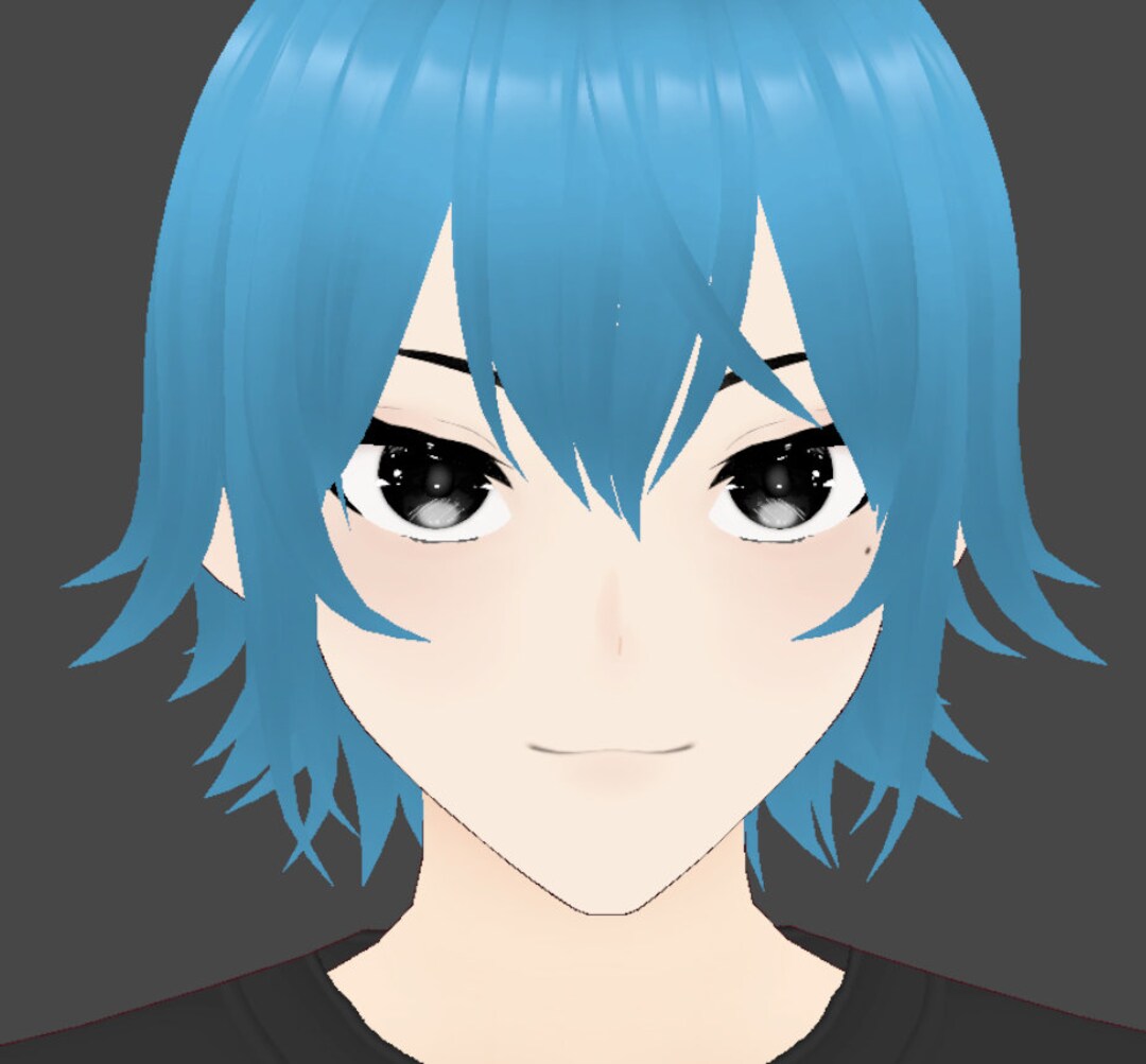 Custom Vroid Model - Etsy