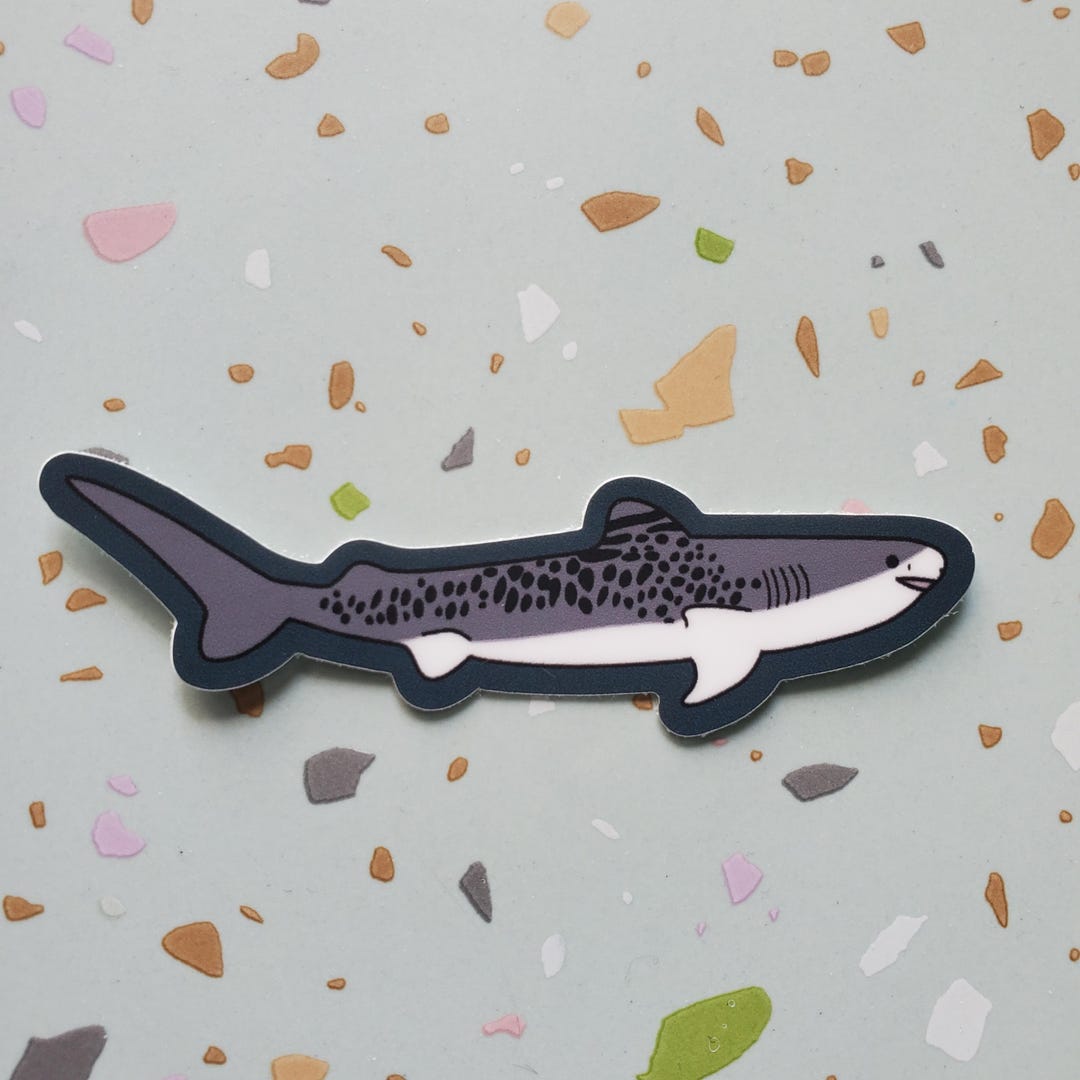 Tiger Shark Sticker - Etsy
