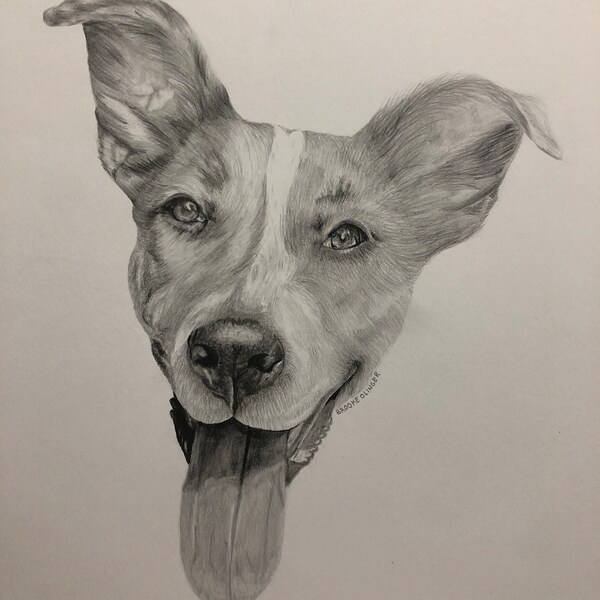 Graphite Drawing - Etsy