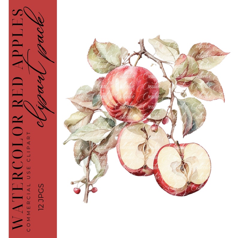 12 Crisp Red Apple Clipart, Watercolor Apple Clipart, Junk Journal ...