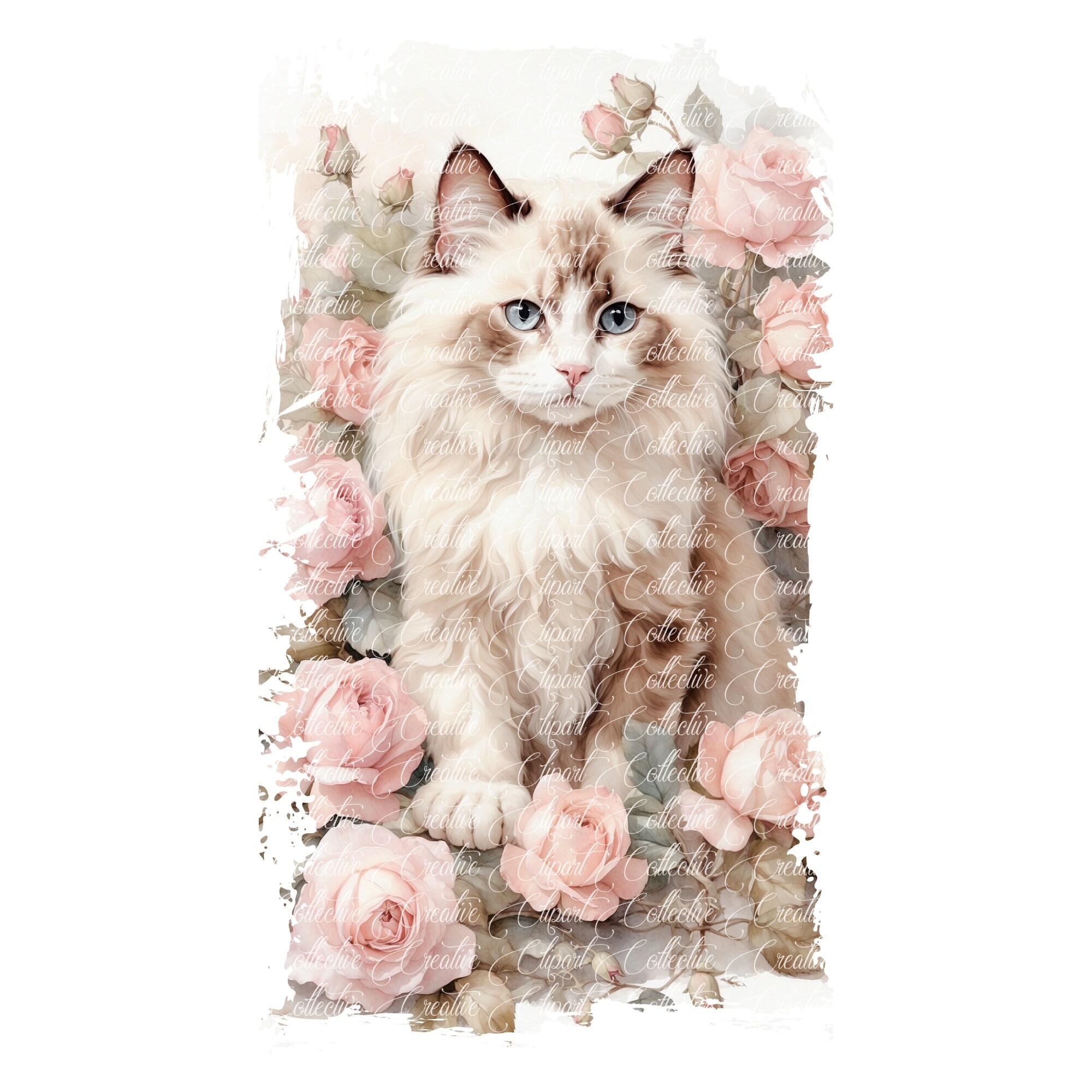 12 Ragdoll Cat Clipart, Shabby Chic Cat Clipart, Watercolor Cat Kitten ...