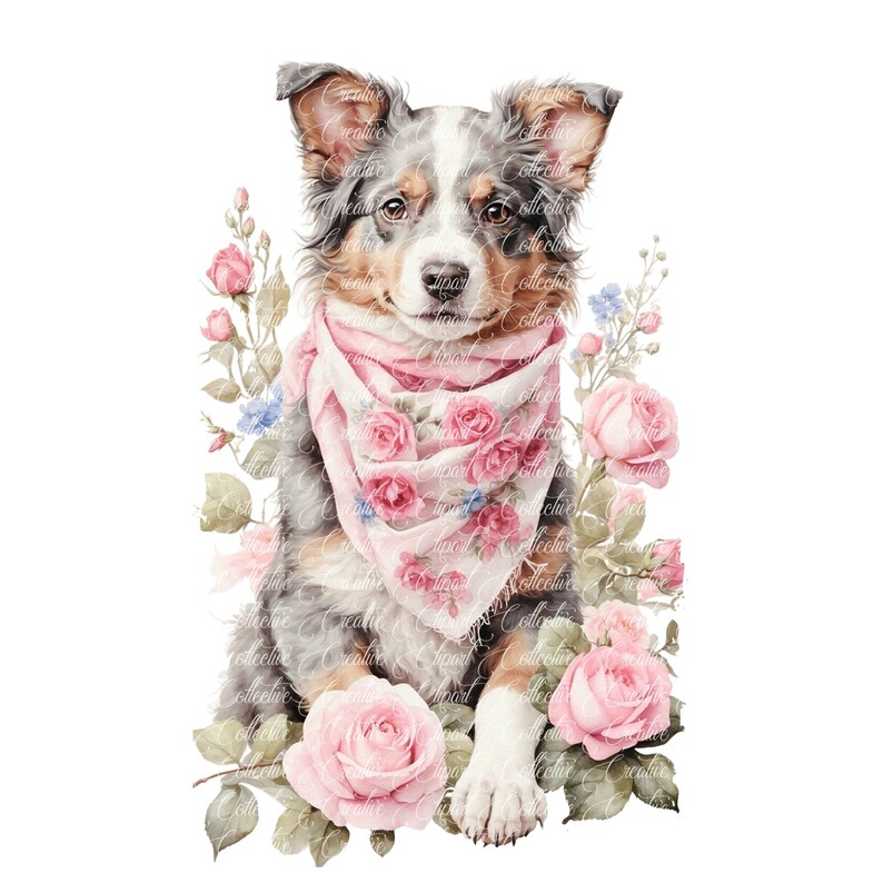 14 Dog Clipart, Australian Shepard Clipart, Watercolor Shabby Chic ...