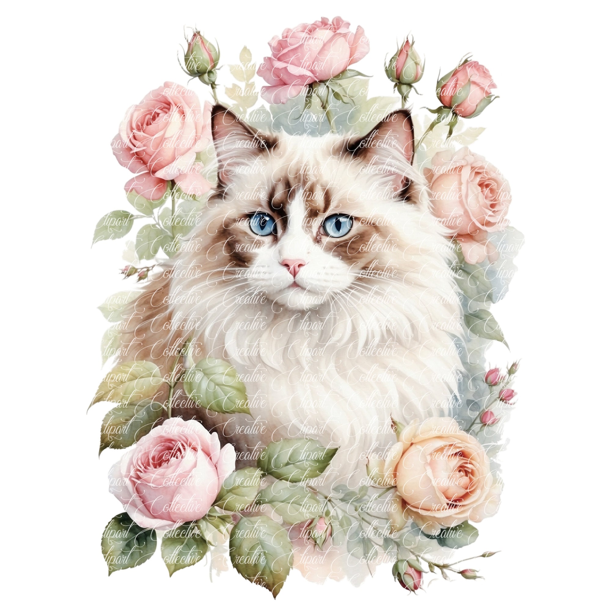 12 Ragdoll Cat Clipart, Romantic Cottage Cat Clipart, Watercolor Cat ...