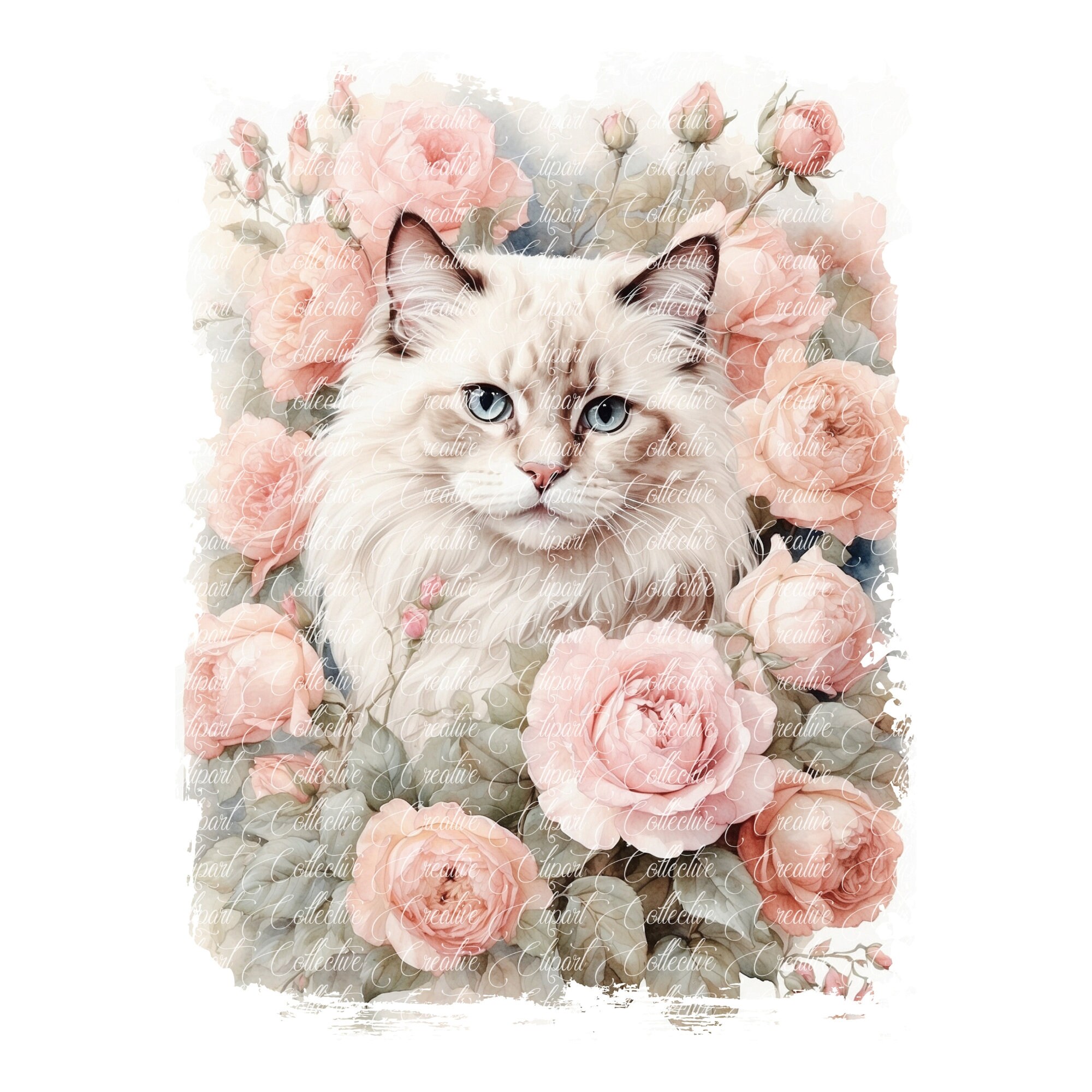 12 Ragdoll Cat Clipart, Shabby Chic Cat Clipart, Watercolor Cat Kitten ...