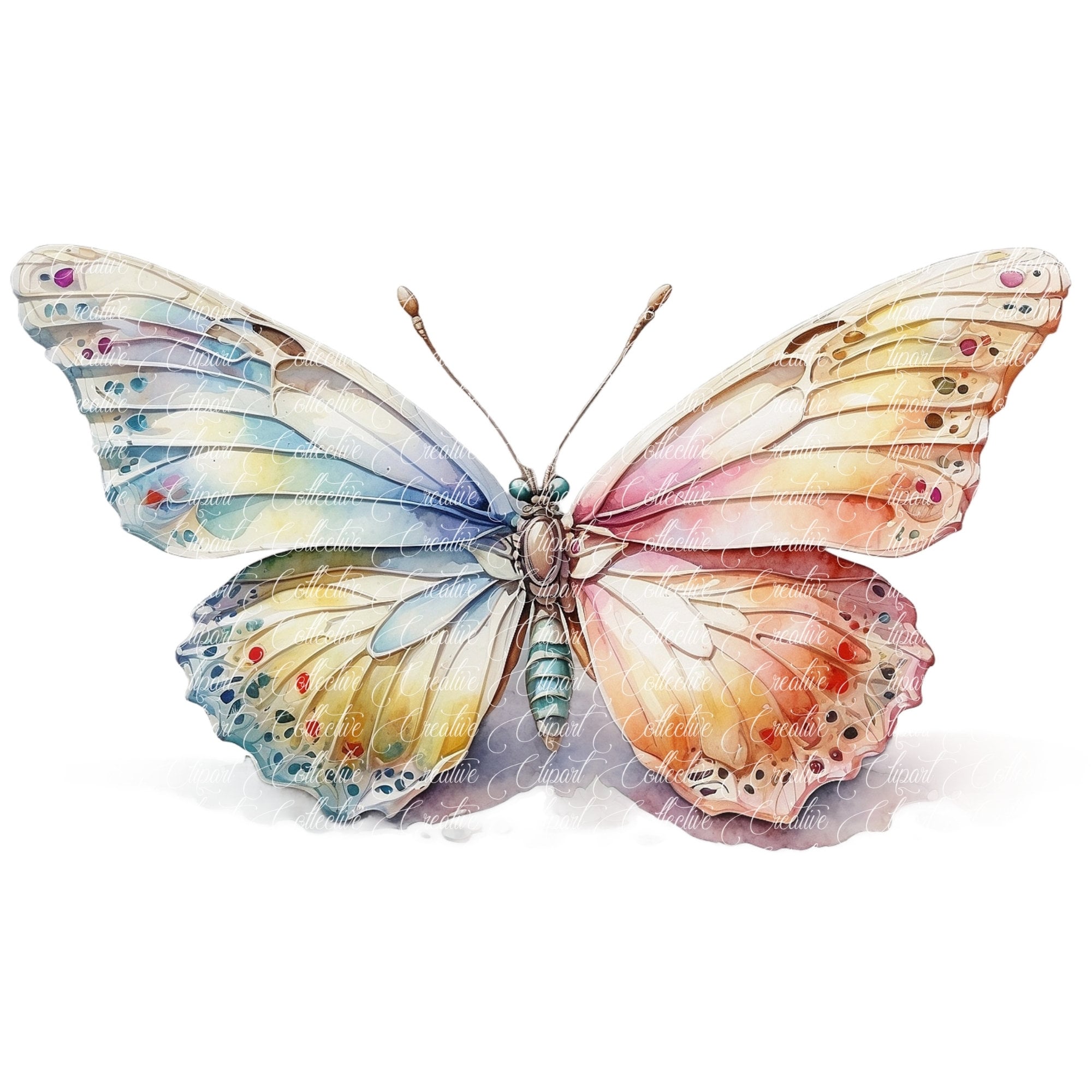 12 Butterfly Clipart, Rainbow Clipart, Rainbow Butterfly Clipart, Clip ...