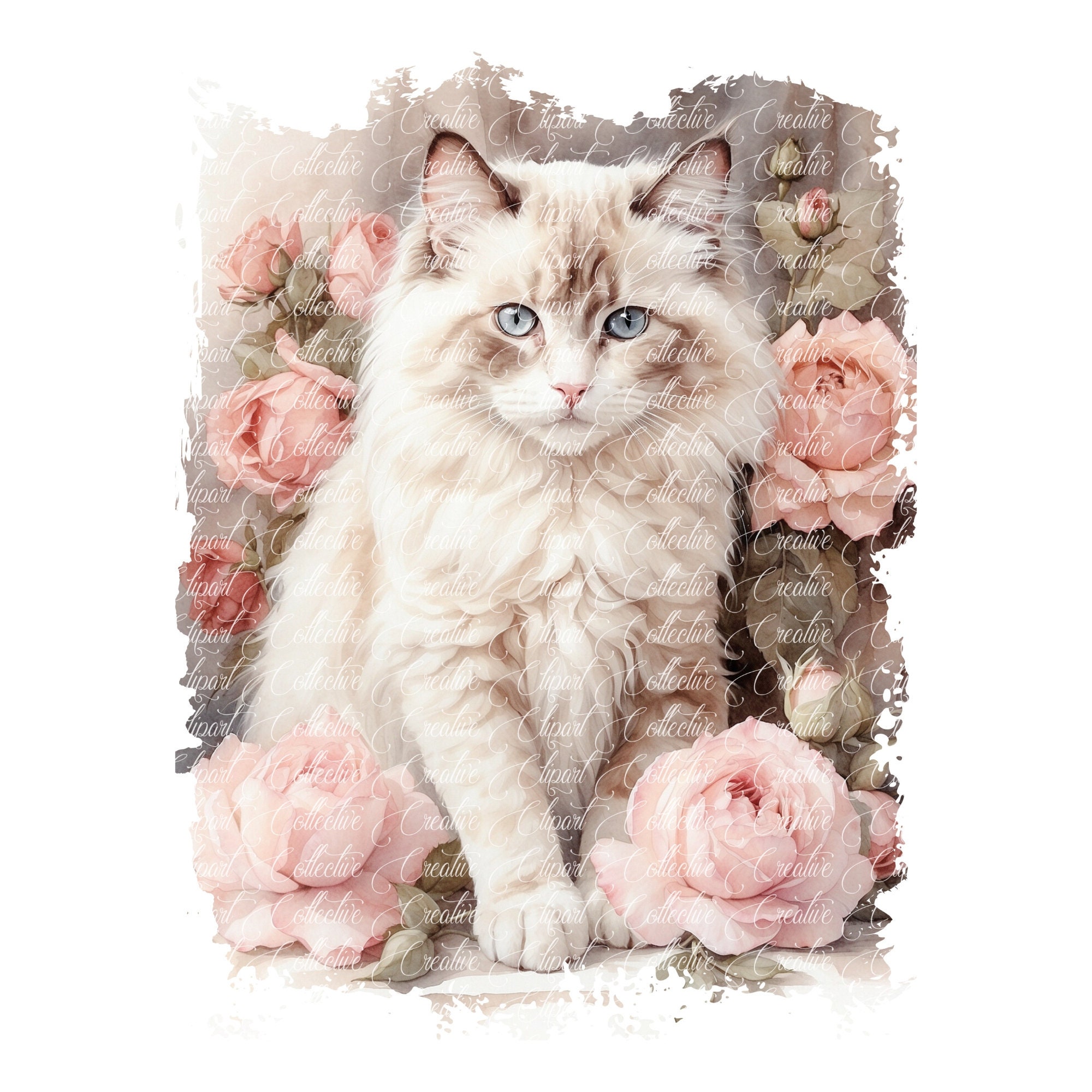 12 Ragdoll Cat Clipart, Shabby Chic Cat Clipart, Watercolor Cat Kitten ...
