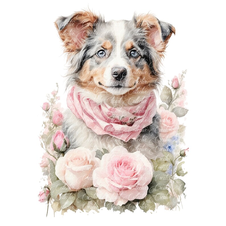 14 Dog Clipart, Australian Shepard Clipart, Watercolor Shabby Chic ...