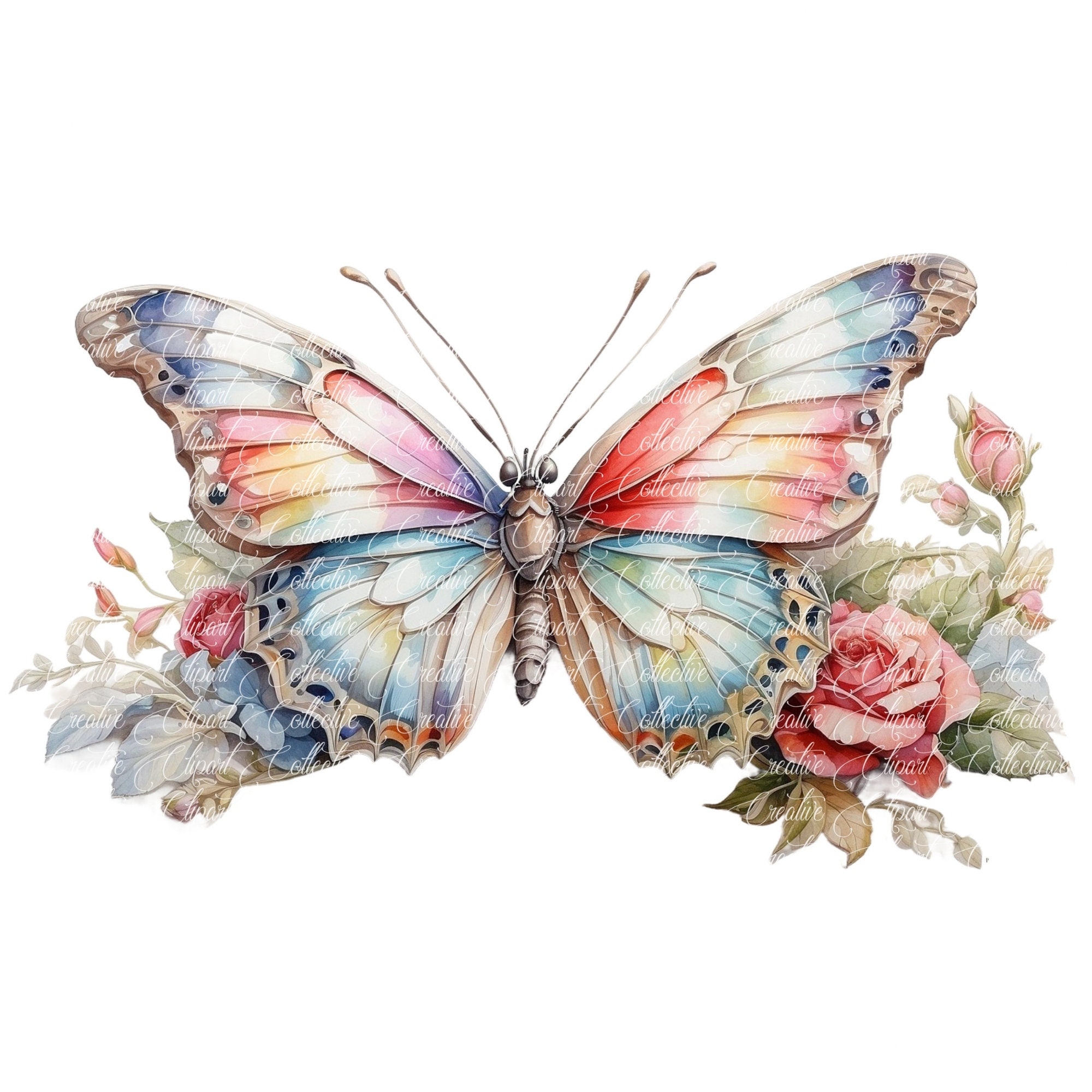 12 Butterfly Clipart, Rainbow Clipart, Rainbow Butterfly Clipart, Clip ...