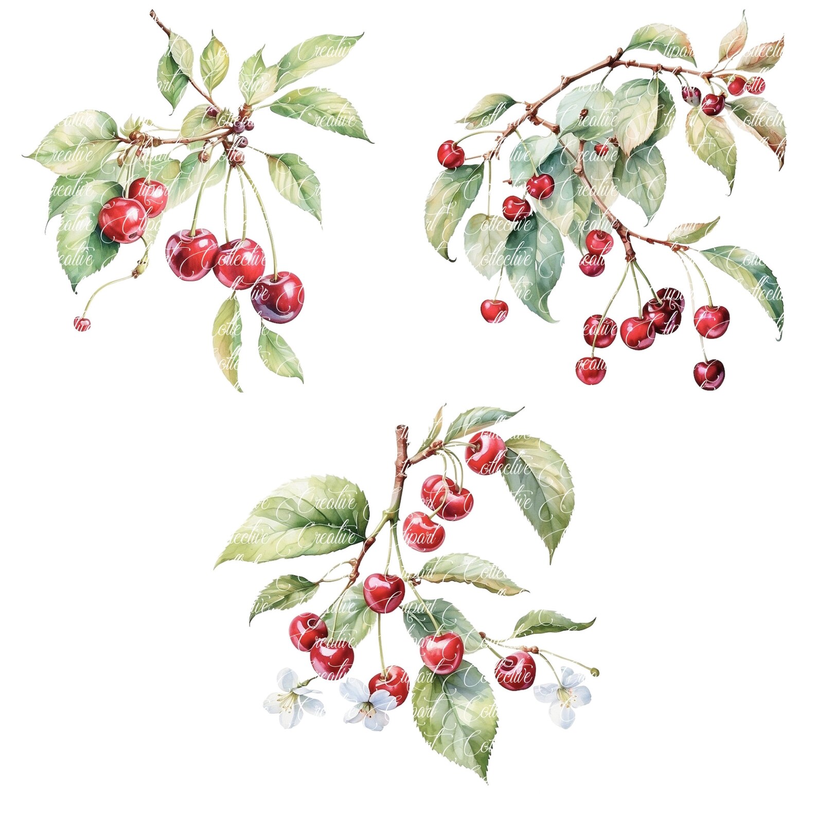 12 Cherry Clipart, Watercolor Cherry Clipart, Fruit Clipart, Printable ...