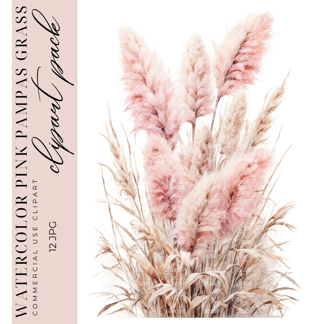 12 Watercolor Pink Pampas Grass Clipart, Boho Clipart, Wedding Clipart ...