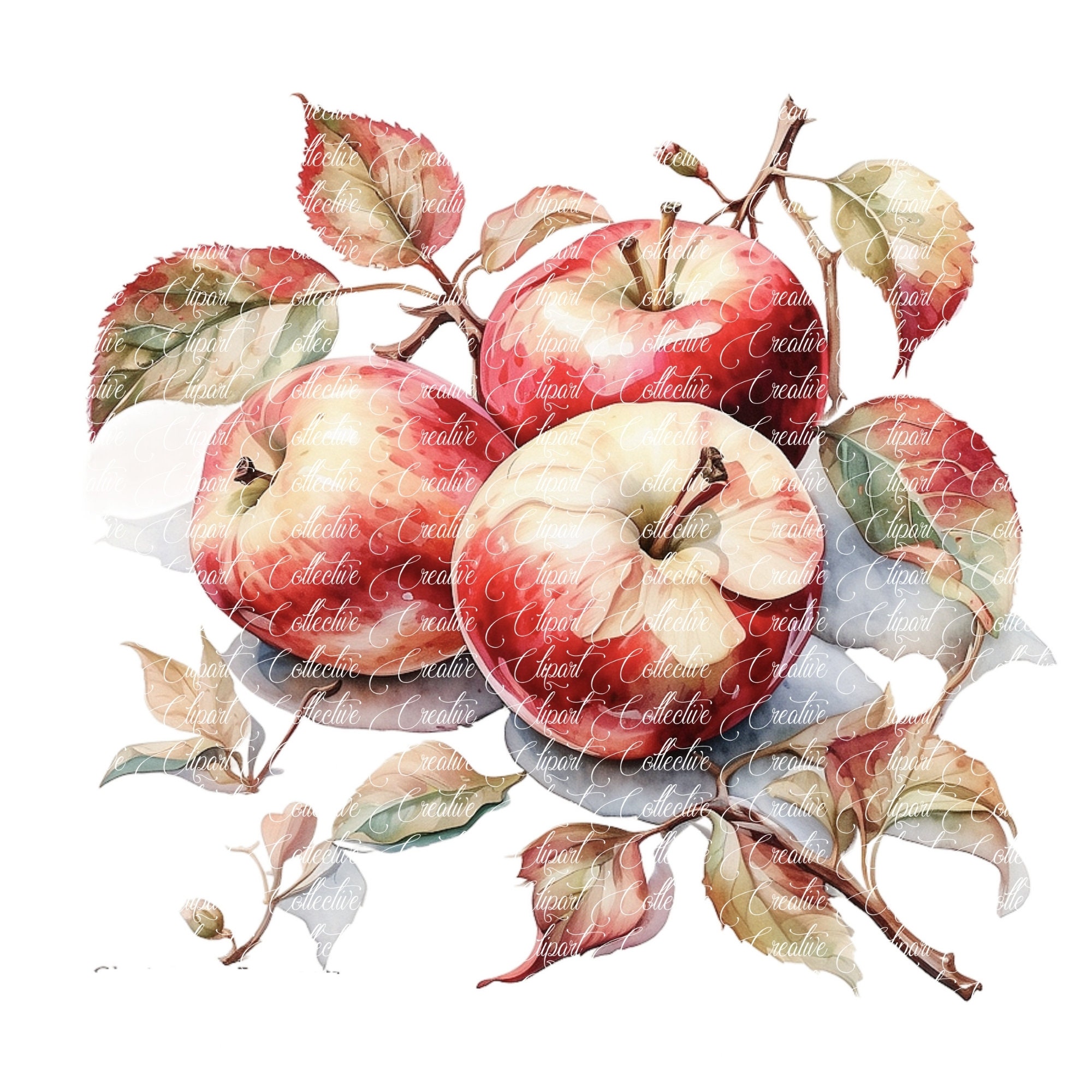 12 Crisp Red Apple Clipart, Watercolor Apple Clipart, Junk Journal ...