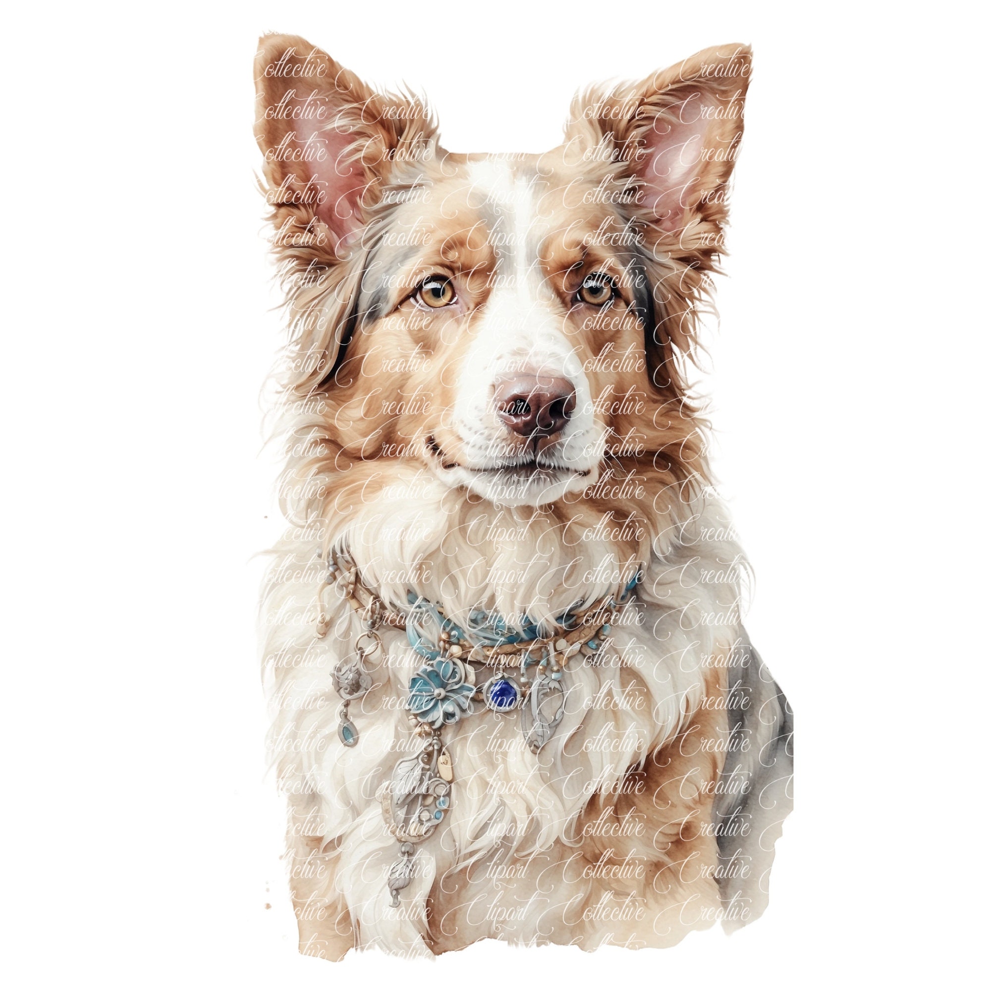 12 Dog Clipart, Australian Shepard Clipart, Printable Watercolor ...