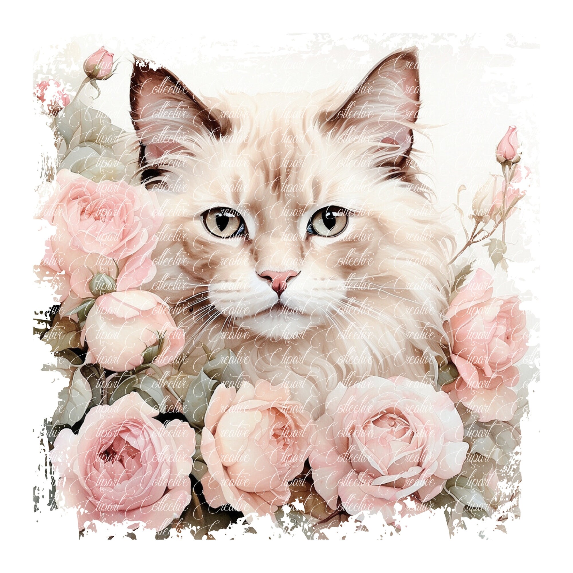 12 Ragdoll Cat Clipart, Shabby Chic Cat Clipart, Watercolor Cat Kitten ...