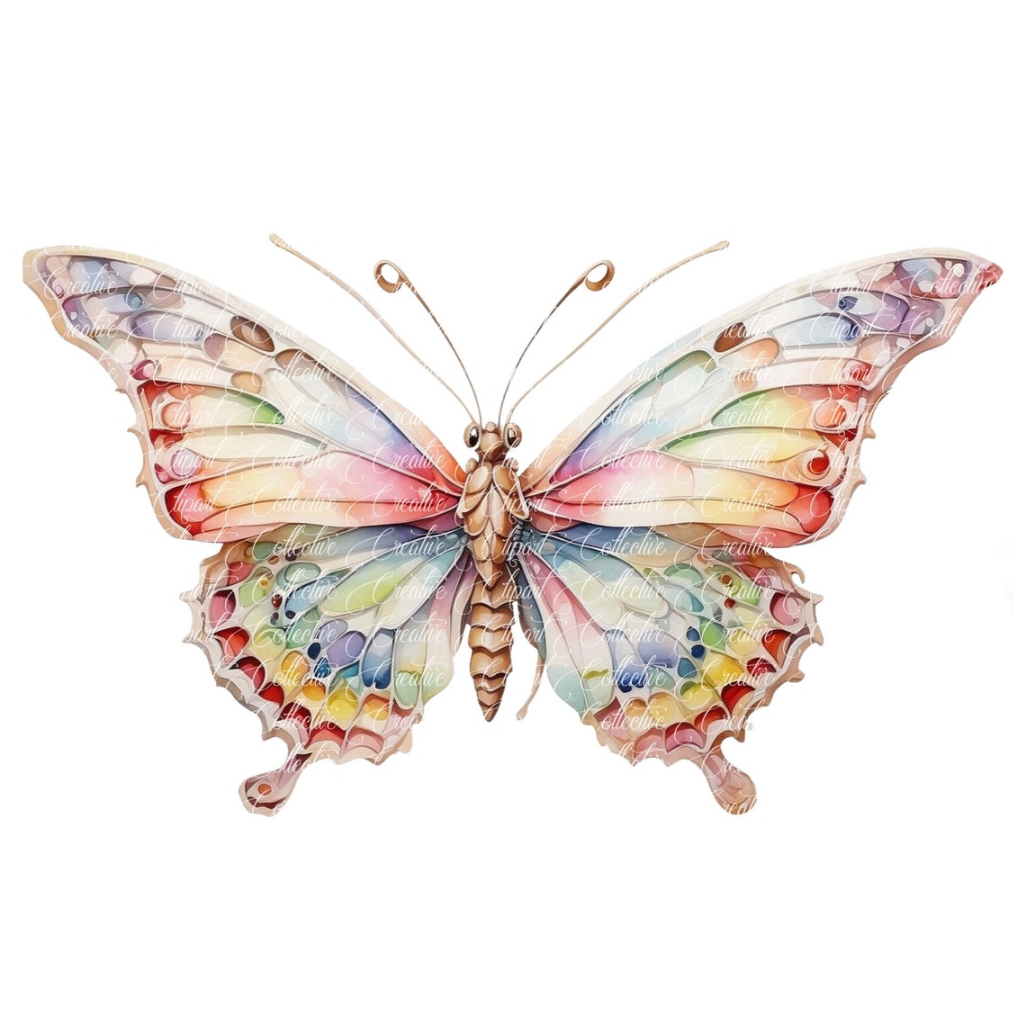 12 Butterfly Clipart, Rainbow Clipart, Rainbow Butterfly Clipart, Clip ...