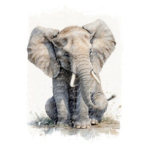 13 Watercolor Baby Elephant, Elephant Clipart, Zoo Clipart, Jungle ...