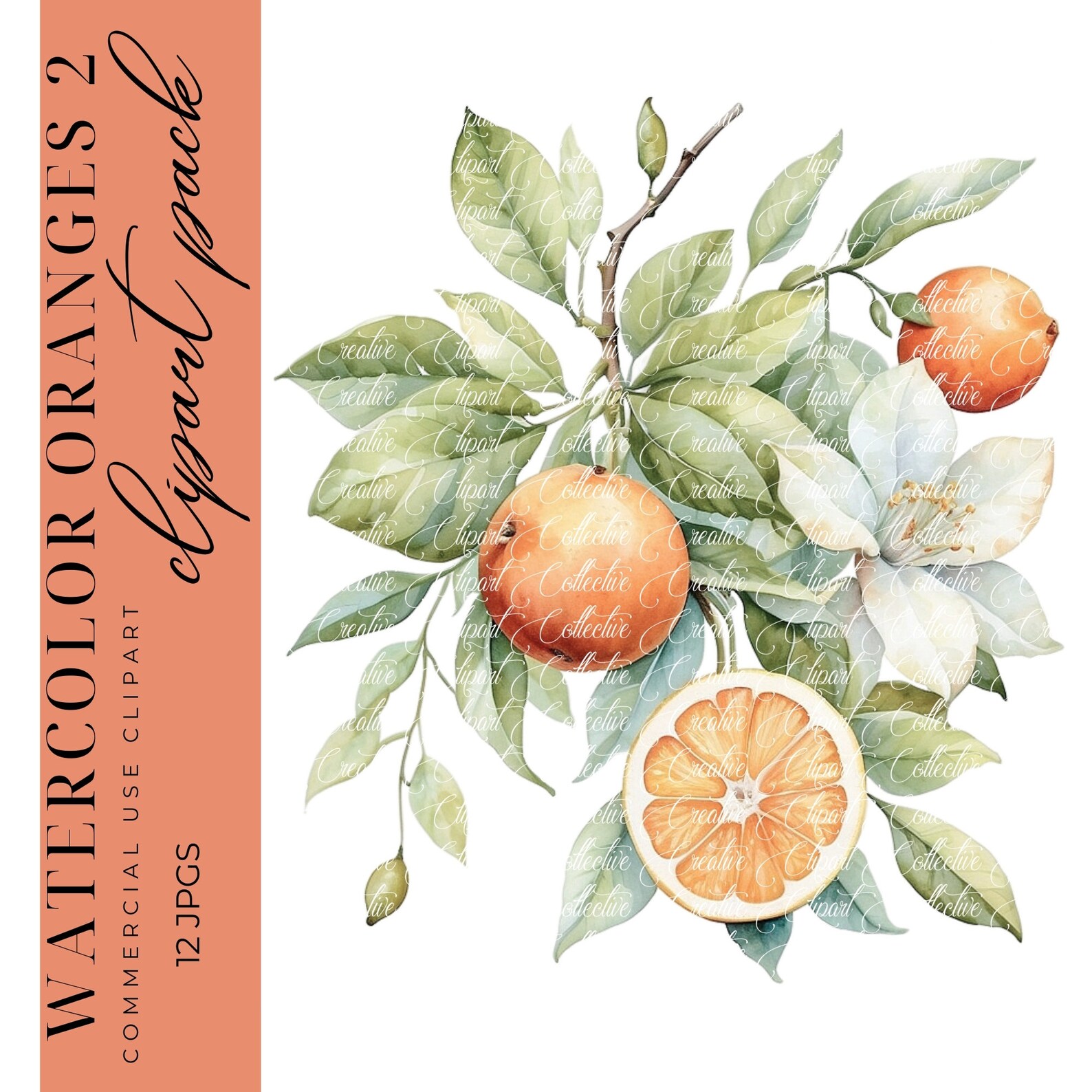 12 Watercolor Orange Clipart, Orange Tree Clipart, Printable Watercolor ...
