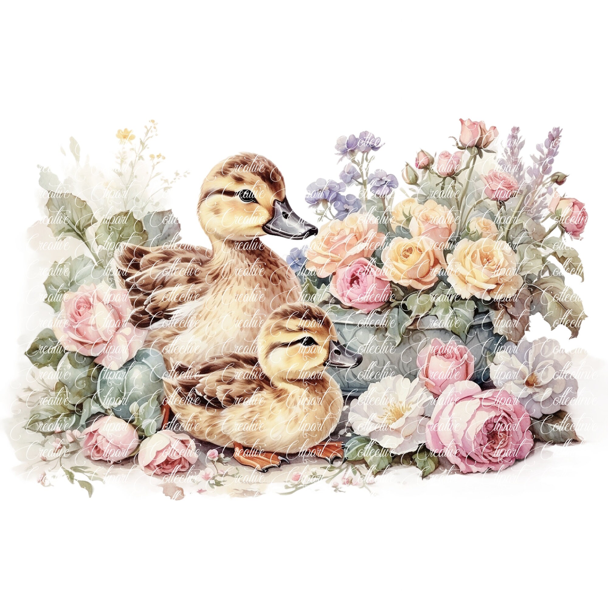 12 Duck Clipart, Watercolor Duck Roses Clipart Bundle, Printable ...